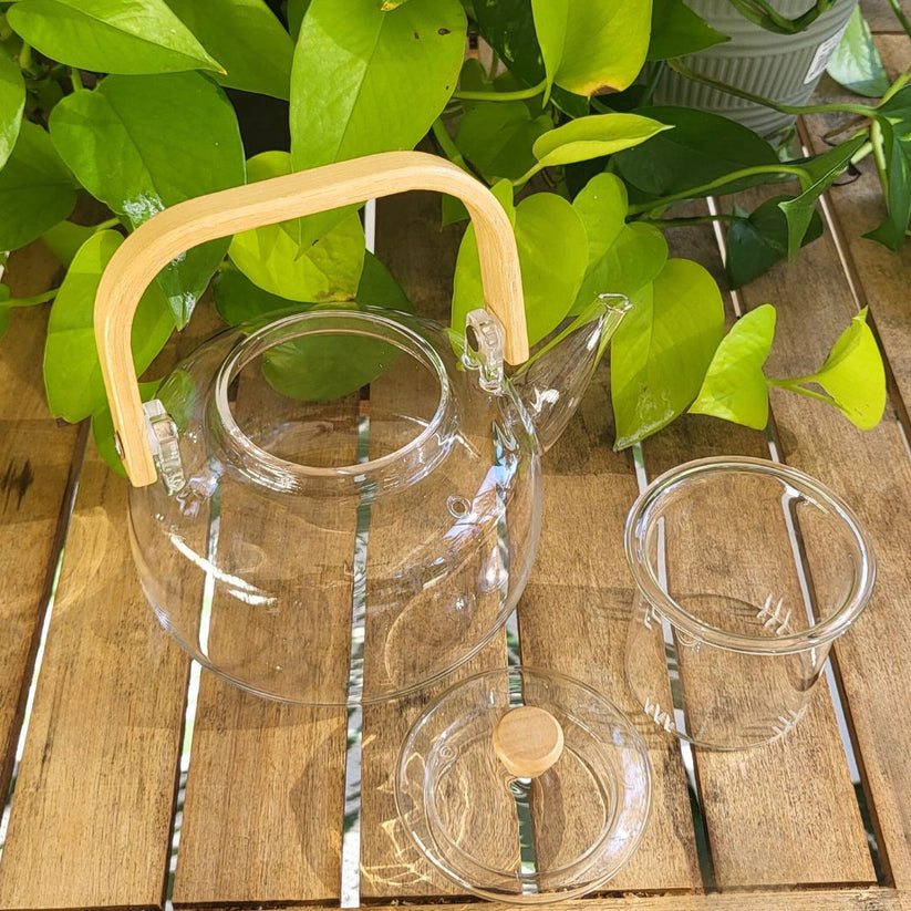 Clear Borosilicate Glass Tea Kettle with Removable Infuser – Rooted Vines